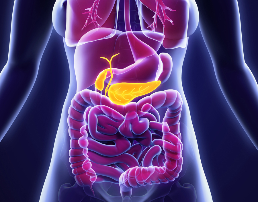 المرارة وأمراضها - The Arab Hospital Magazine